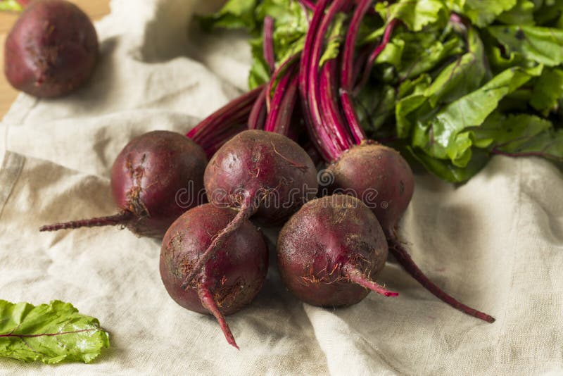 Raw Red Organic Beet Roots stock image. Image of sweet - 126103787