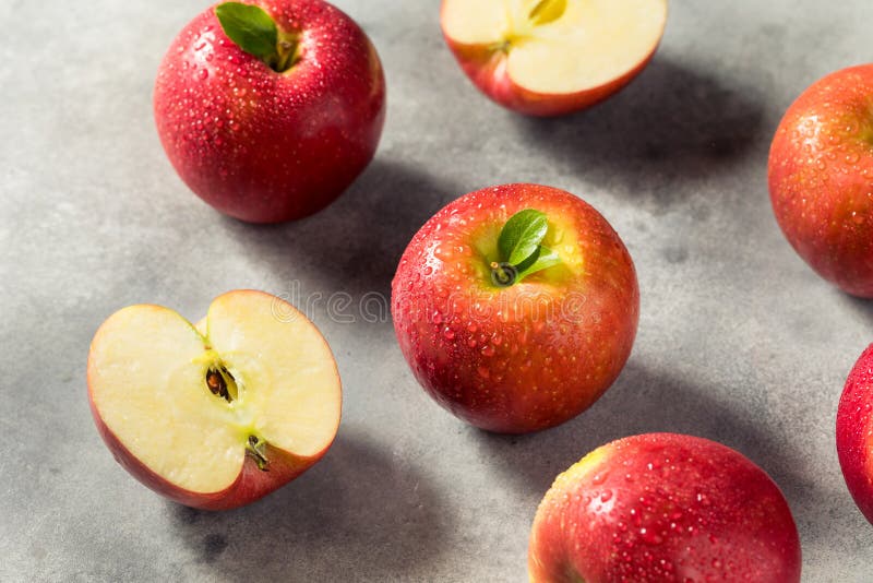 Raw Red Organic Cosmic Crisp Apples Stock Image - Image of leaf, fresh ...