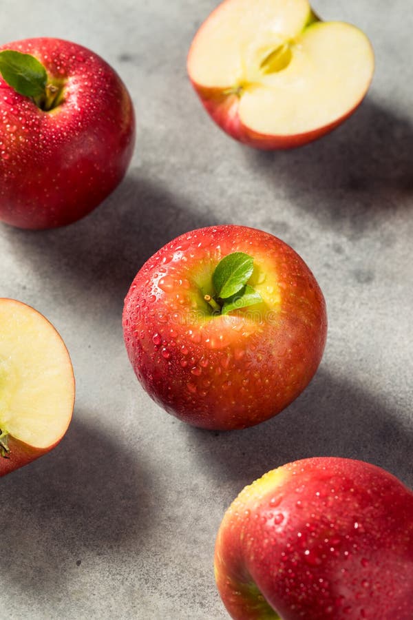 Raw Red Organic Cosmic Crisp Apples Stock Image - Image of sweet ...