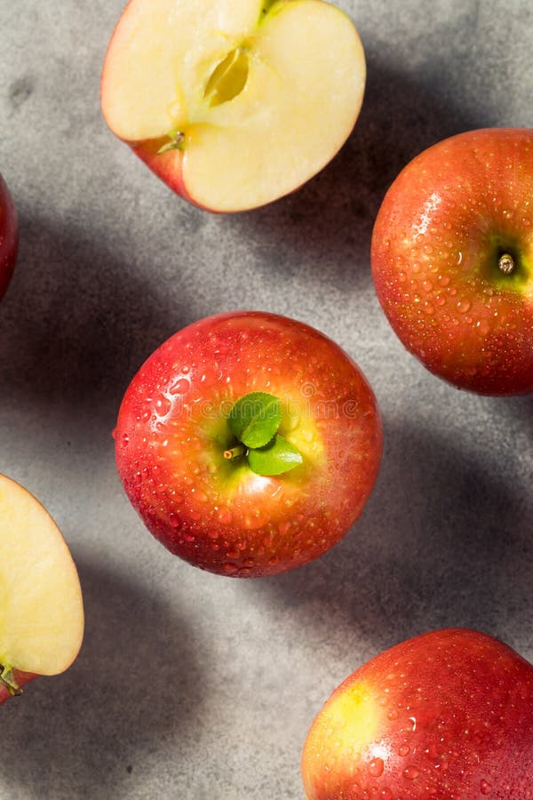 Raw Red Organic Cosmic Crisp Apples Stock Photo - Image of fruit ...
