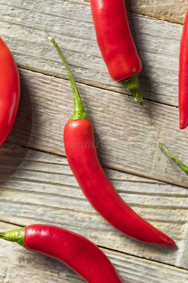 Raw Red Organic Hot Finger Peppers Stock Photo - Image of natural ...