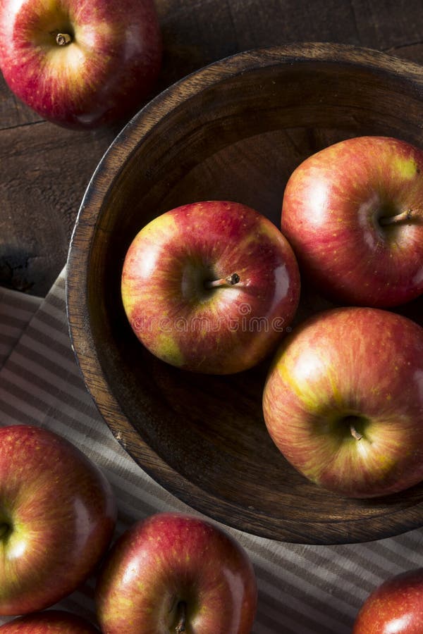 Raw Red Organic Kiku Apples Stock Photo - Image of delicious, vibrant ...