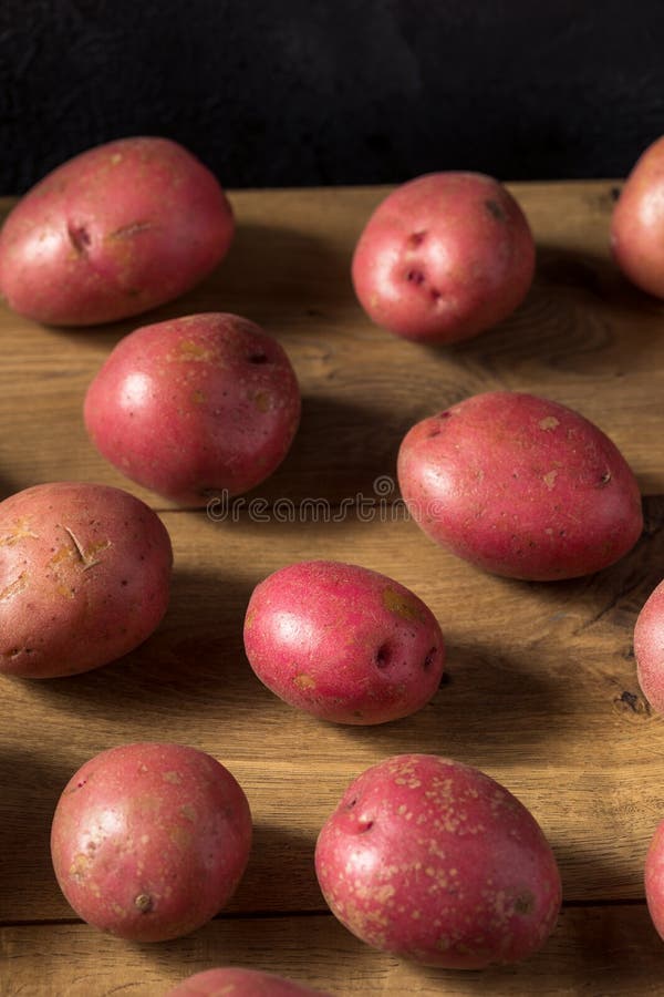 Raw Red Organic Potatoes stock image. Image of potato - 261139921