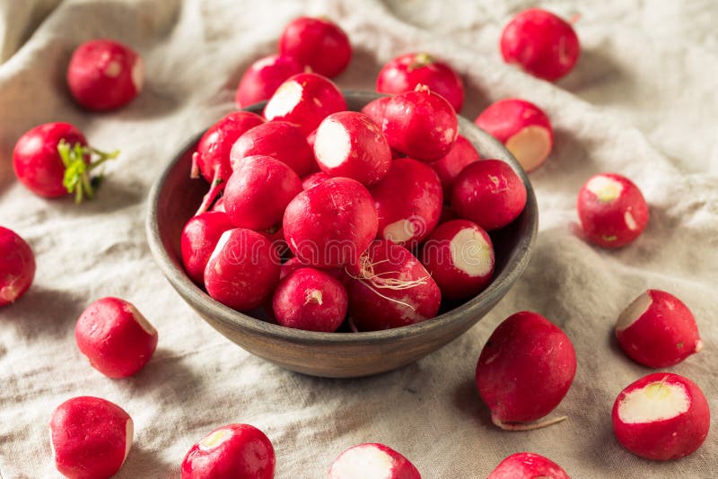 Raw Red Organic Radishes stock photo. Image of health - 144039536