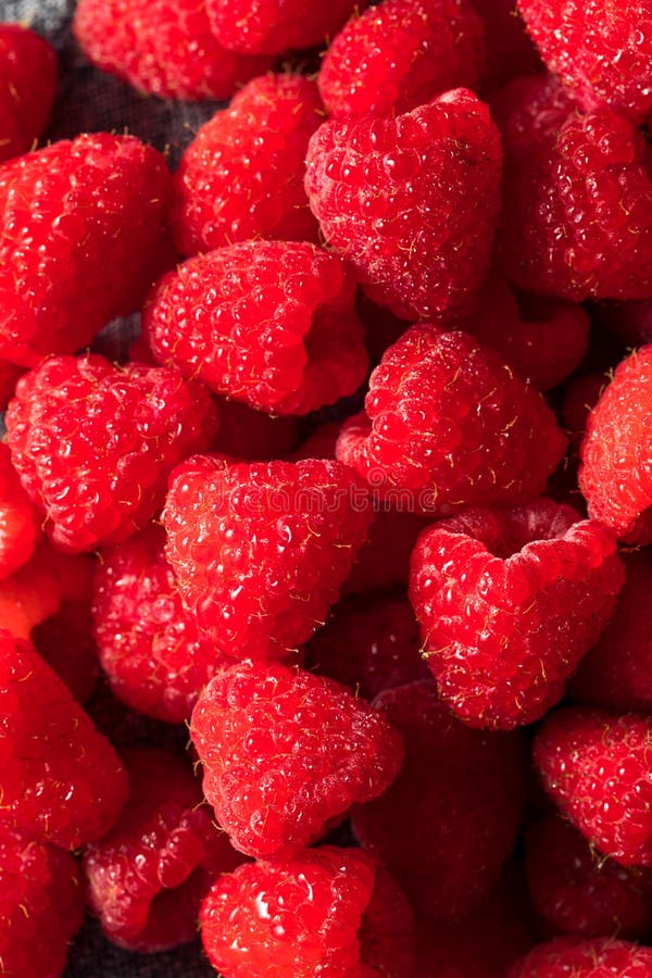 Raw Red Organic Raspberries Stock Image - Image of dessert, season ...