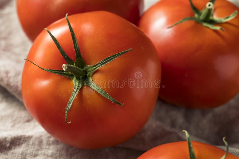 Raw Red Organic Tomatoes stock image. Image of health - 117462261
