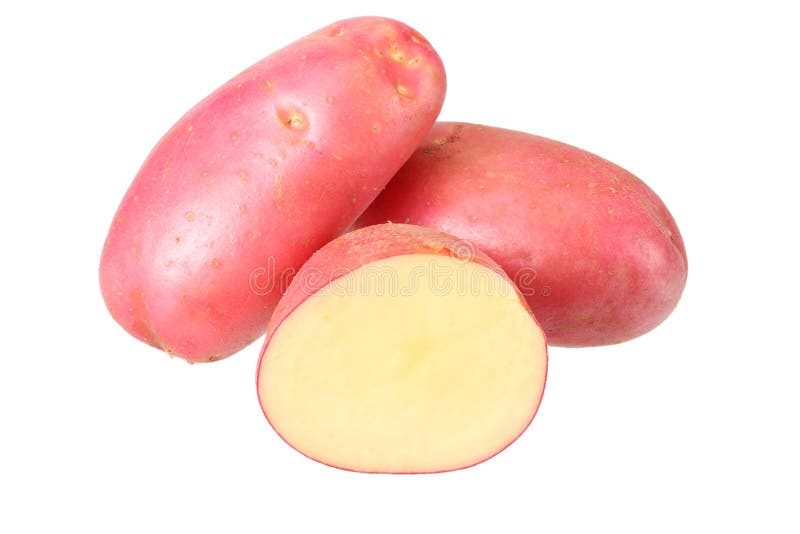 Raw Red Potato Isolated on White Background Stock Image - Image of ...
