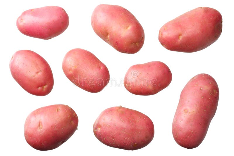 Raw Red Potato Isolated on White Background Stock Photo - Image of food ...