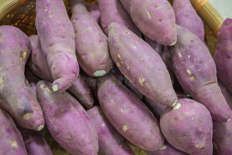 Raw red potatoes stock photo. Image of health, japanese - 34227604