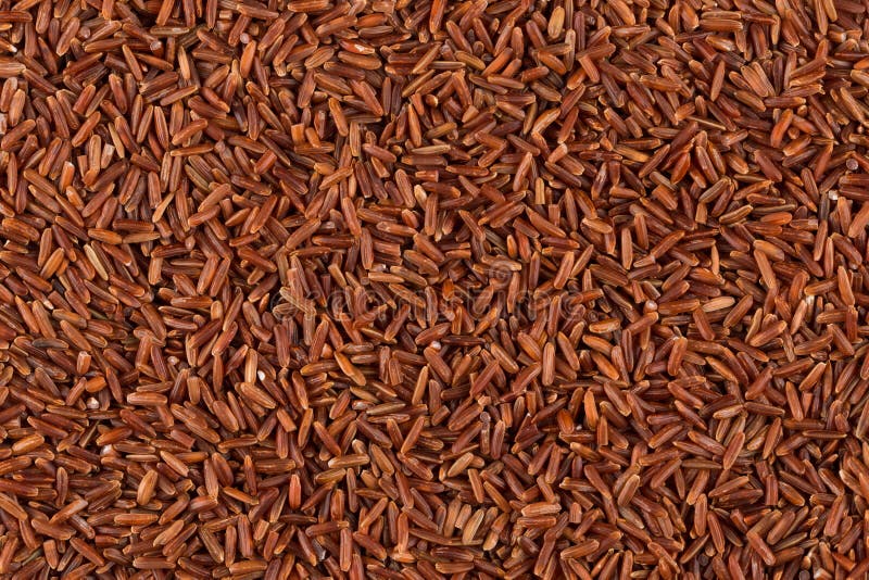Raw red rice stock image. Image of grain, long, background - 66631509