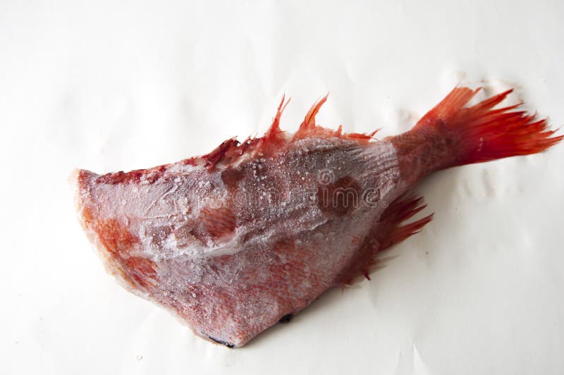 Raw Red Sea Fish without Head. Top View Stock Photo - Image of cooking ...