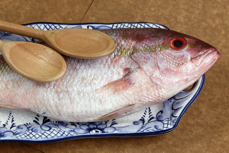 Raw Red Snapper Fish on Decorated Plate Stock Image - Image of cooking ...