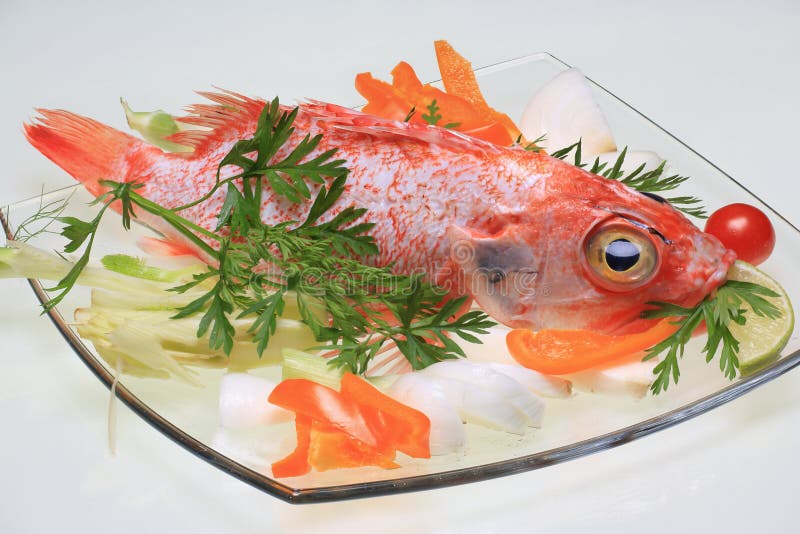 Red Snapper on a plate stock photo. Image of green, meal - 15904710