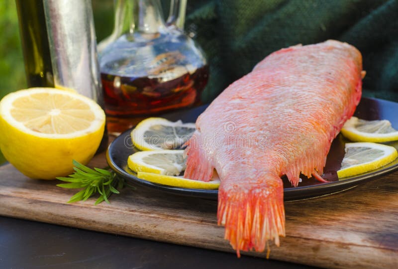 Raw Red Snapper on a Plate with Lemon Stock Image - Image of rosemary ...