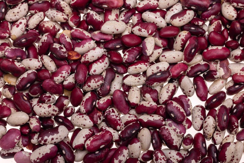 Raw Red with White Speckled Kidney Beans. Stock Photo - Image of white ...