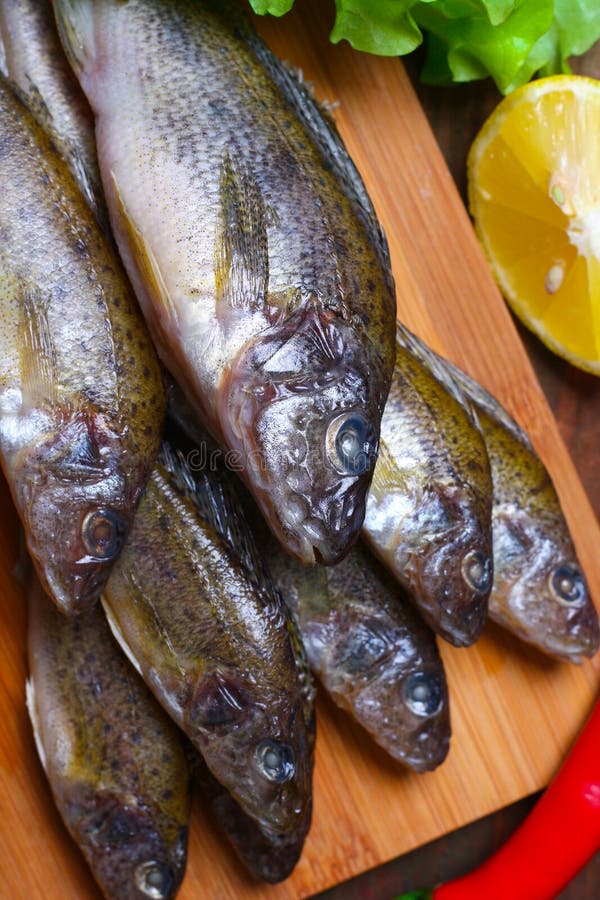 Raw Redfish Ruff Fish on the Kitchen Table with Vegetables and Lemon ...