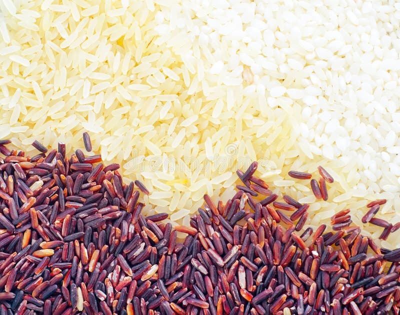 Raw rice stock photo. Image of eating, healthy, detail - 27653354