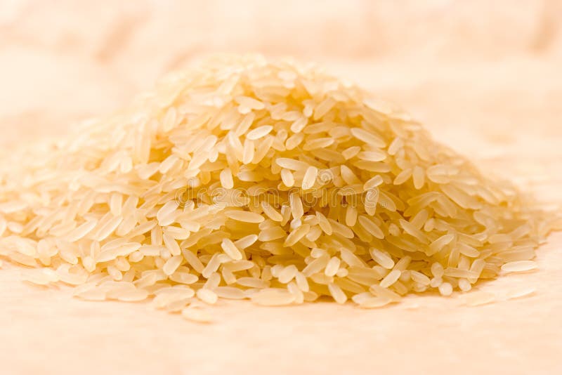 Raw rice stock photo. Image of cooking, core, meal, corn - 6534830