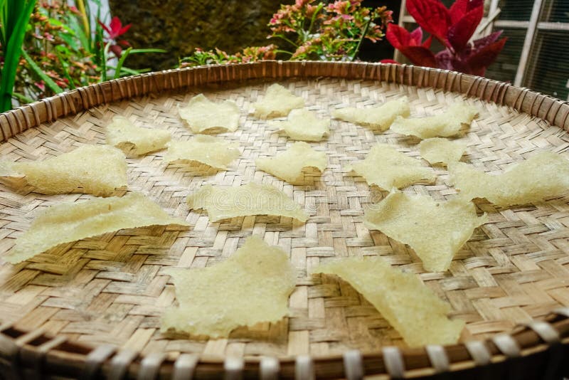 Raw Rice Chips Drying Under the Sun on the Bamboo Tray, Typical ...