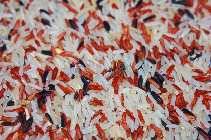 Raw rice stock image. Image of healthy, cooking, closeup - 30451671