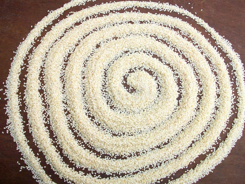 Raw rice grain stock photo. Image of meadow, nature, paddy - 42086822