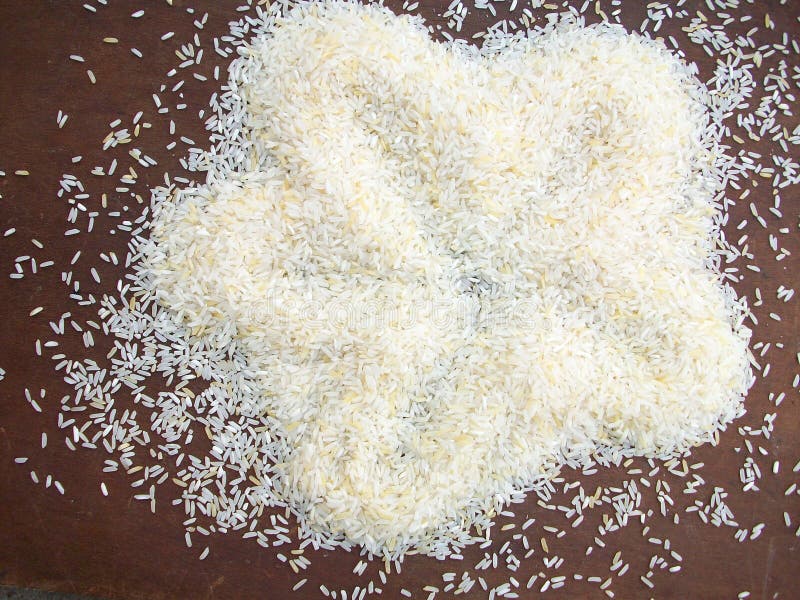 Raw rice grain stock photo. Image of seed, fresh, rice - 42128162