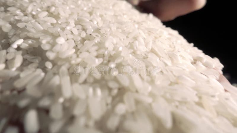 Raw Rice Grain Falling. Slow Motion Stock Footage - Video of ...