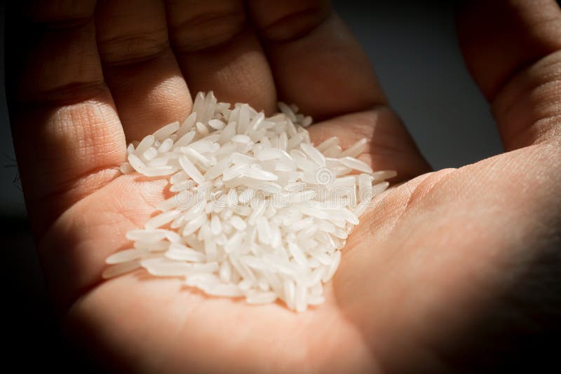 Raw rice in hand stock photo. Image of organic, finger - 39803324