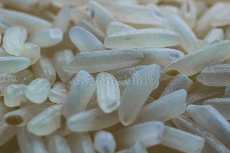 Raw rice macro close up stock photo. Image of lunch - 171430122