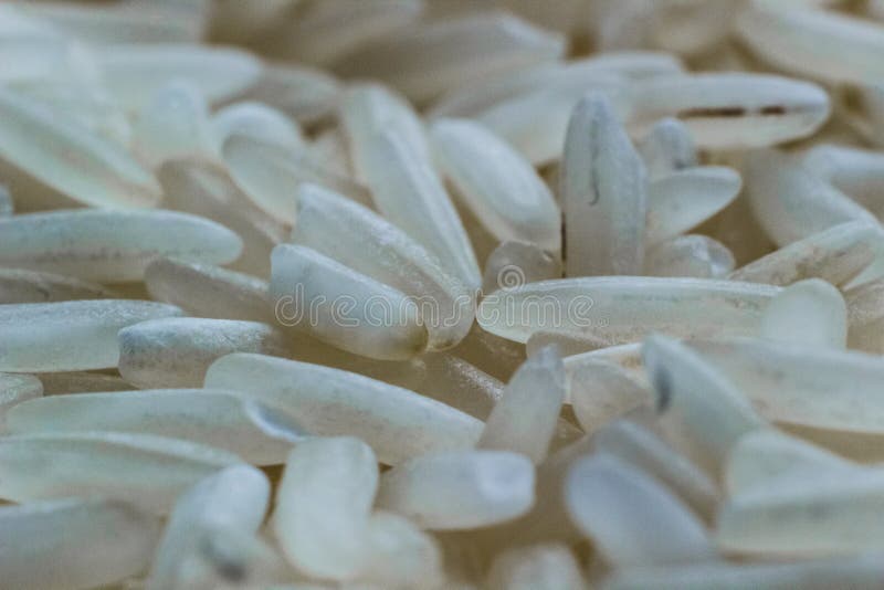 Raw rice macro close up stock photo. Image of lunch - 171430206