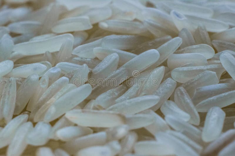 Raw rice macro close up stock image. Image of macro - 171430541