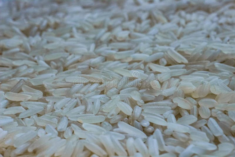 Raw rice macro close up stock photo. Image of basmati - 171430728