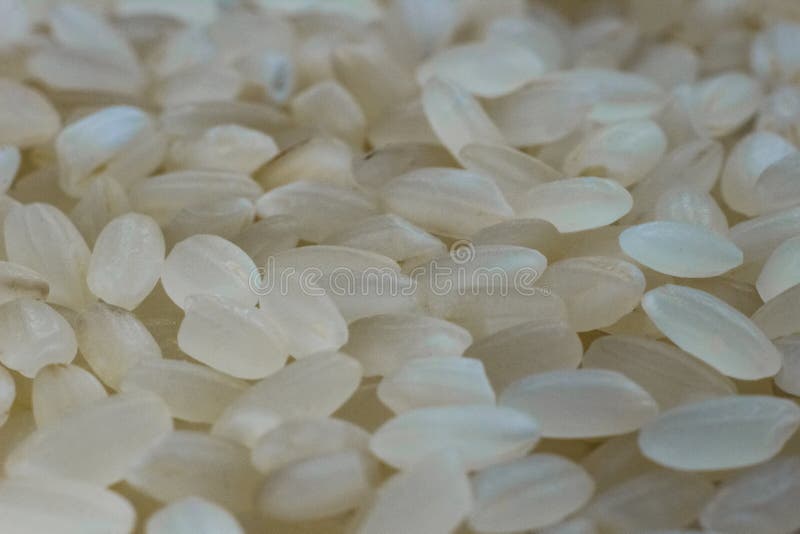 Raw rice macro close up stock image. Image of organic - 171430473