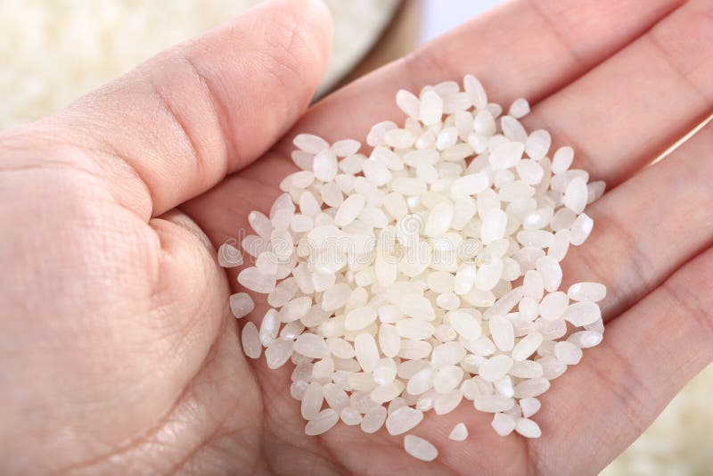 Raw rice stock image. Image of wooden, asia, china, bowl - 74755779