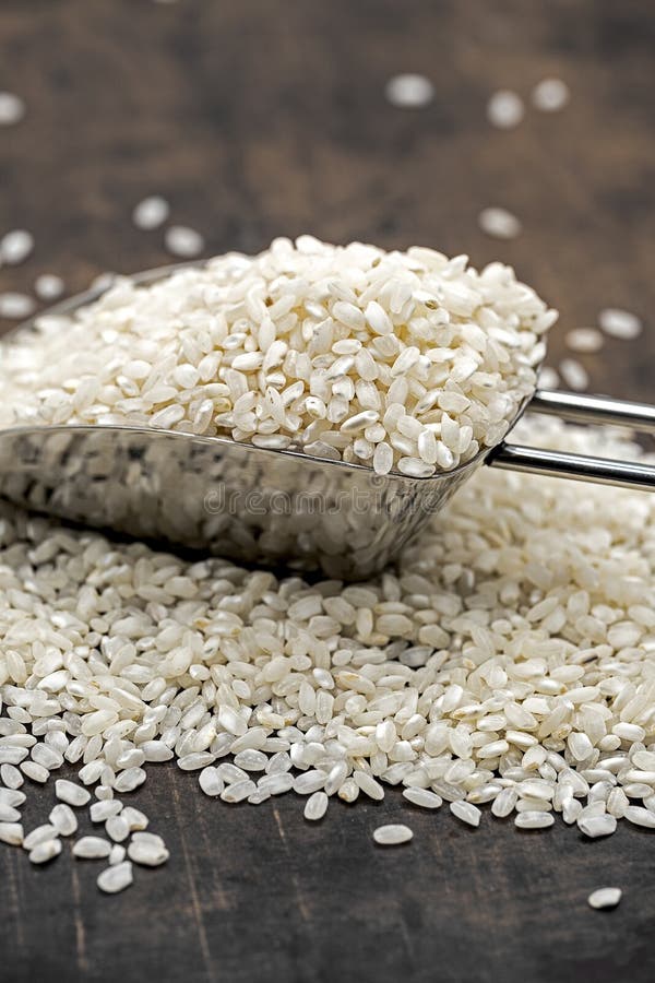 Raw Rice Grains for Rice Pudding in Metal Scoop Stock Image - Image of ...
