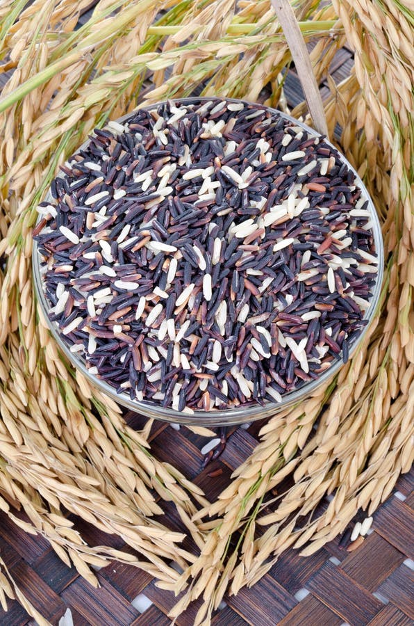 Raw Rice, Selection of Rices Stock Photo - Image of close, ingredient ...