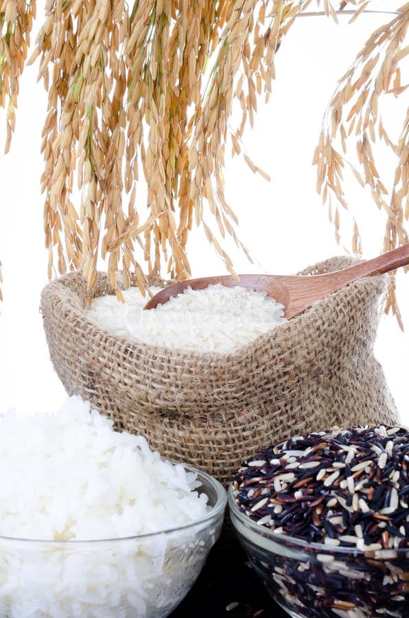 Raw Rice, Selection of Rices Stock Photo - Image of people, closeup ...
