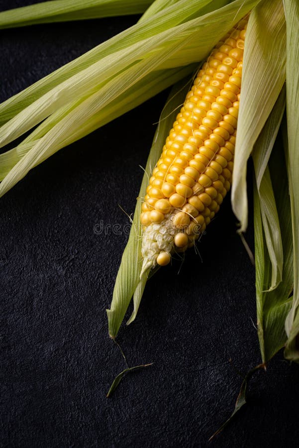Raw ripe corn. Dark style stock image. Image of green - 195587569