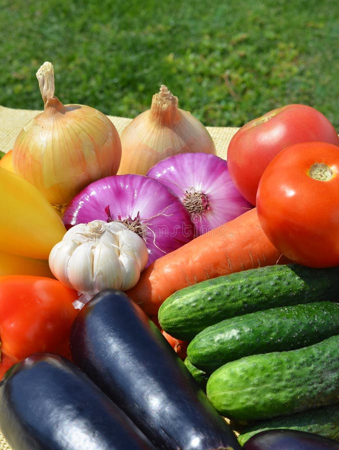 Raw, Ripe Vegetables on the Grass Stock Photo - Image of orange ...