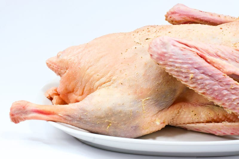 Raw roast goose stock photo. Image of plate, poultry, cooking - 5323142