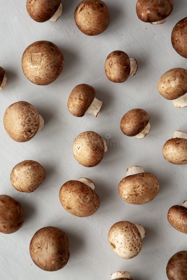 Raw Royal Brown Champignon, Top View Stock Photo - Image of vegetables ...