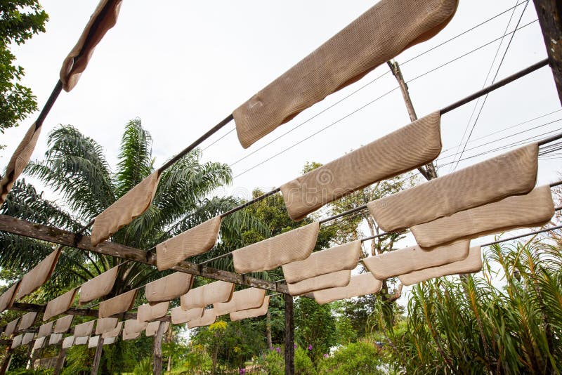 Raw rubber stock photo. Image of collection, methodology - 35193406