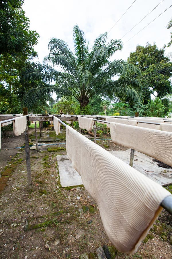 Raw rubber stock photo. Image of crude, agricultural - 35193688