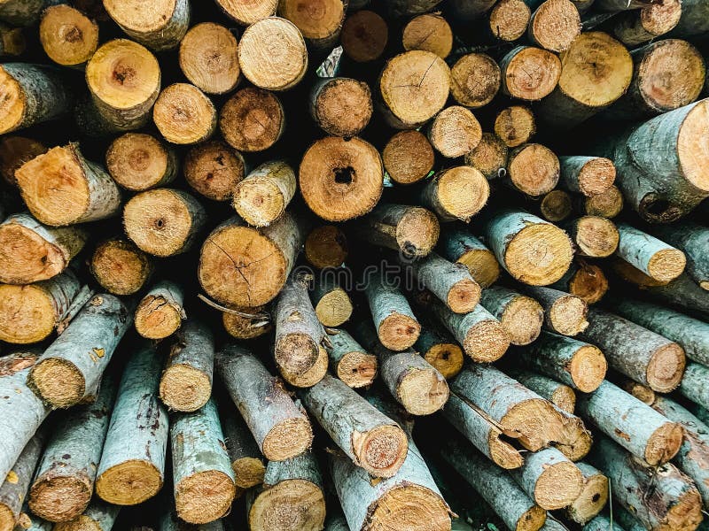 Stackin Up the Good Stuff stock image. Image of good - 395415711