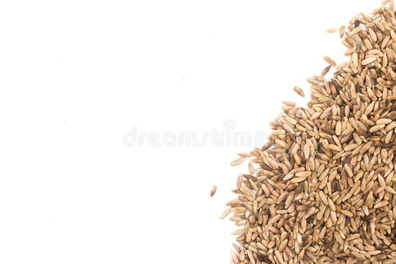 Raw Rye frame stock image. Image of grains, pile, meal - 129324543