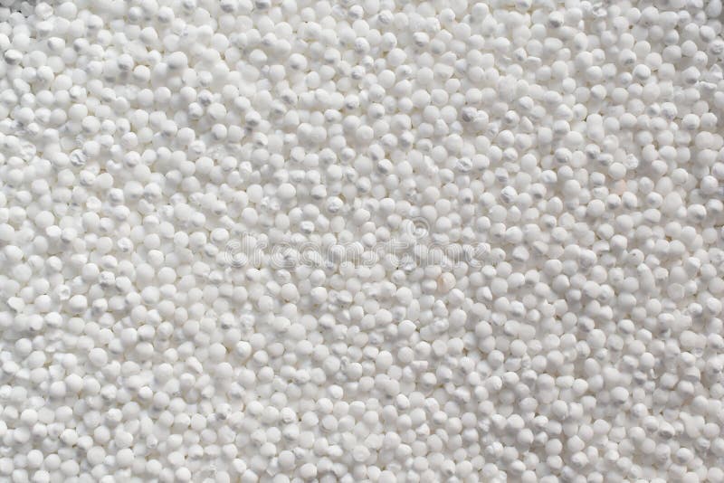 Raw Sago pearl stock image. Image of esculenta, grain - 211033825