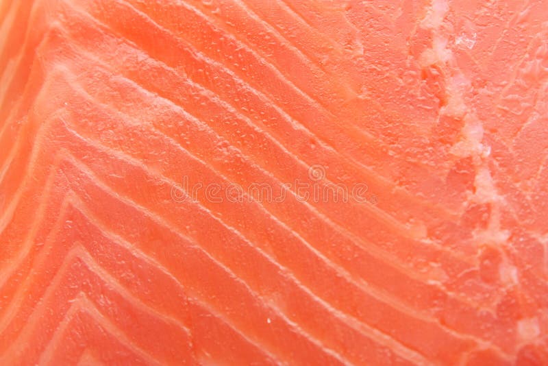 Salmon texture stock photo. Image of closeup, fish, sushi - 66918238