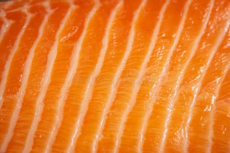 Raw Salmon Trout Fish Fillet Texture Closeup Stock Image - Image of ...