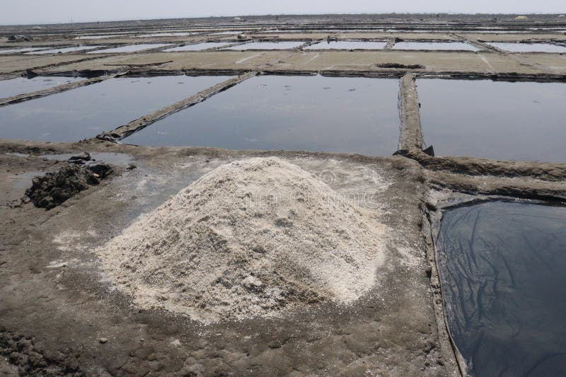 Raw Salt Farm on Plot with Polythene Bed Stock Image - Image of ...