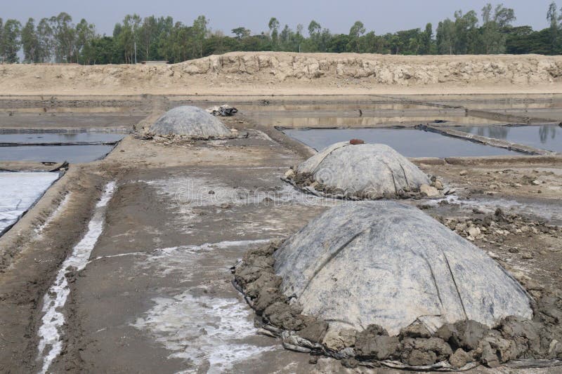 Raw Salt Farm on Plot with Polythene Bed Stock Image - Image of ...